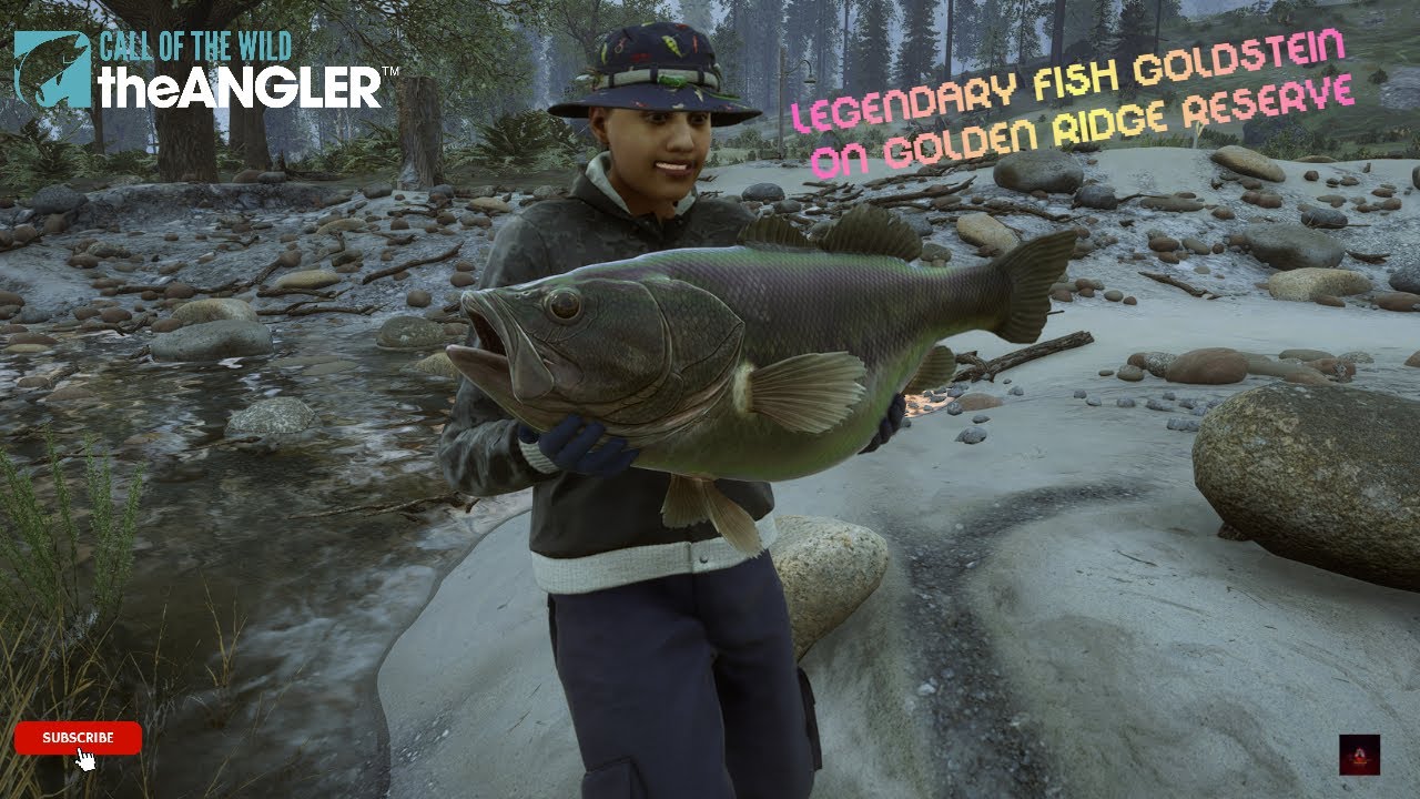 Legendary Fish Goldstein On Golden Ridge Reserve COTW The Angler - YouTube
