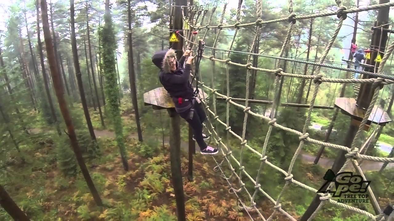 Go Ape Haldon Forest - Tree Top Adventure - GoPro - YouTube