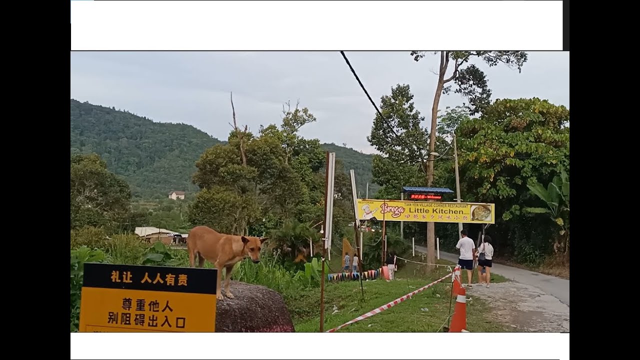 [ 马来西亚武来岸 / Broga 4 ] Little Kitchen 田苑家乡风味小厨 - YouTube