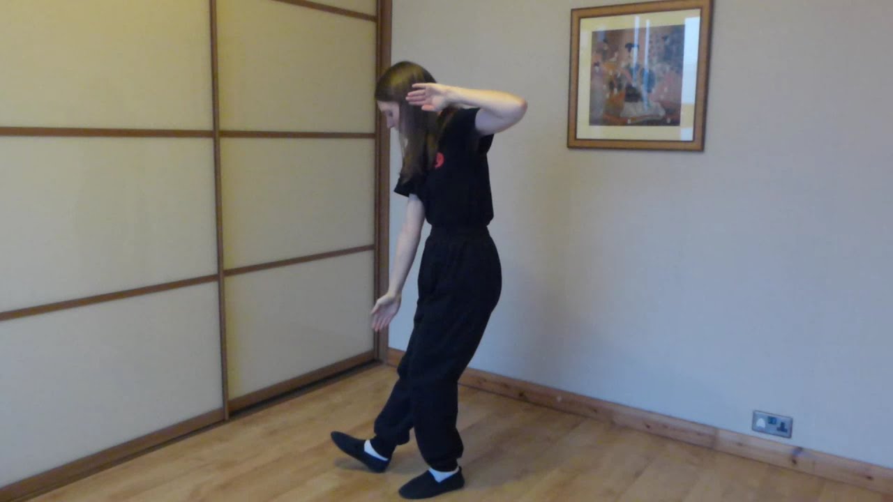 Li Style Tai Chi Form moves 79-80: The Dog Awakens - YouTube