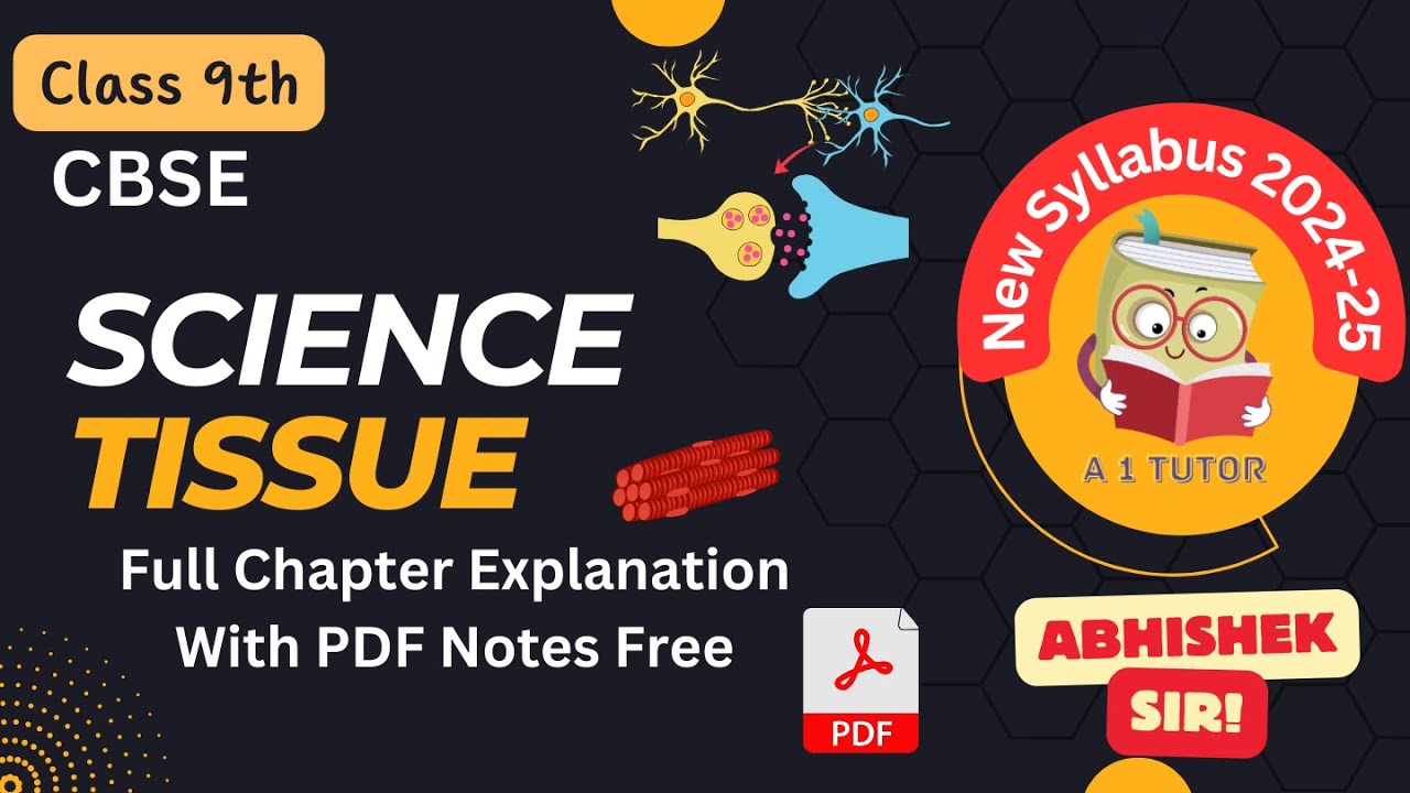 Tissue Chapter 6 Science Class 9th Notes New syllabus 24-25 NCERT CBSE ...