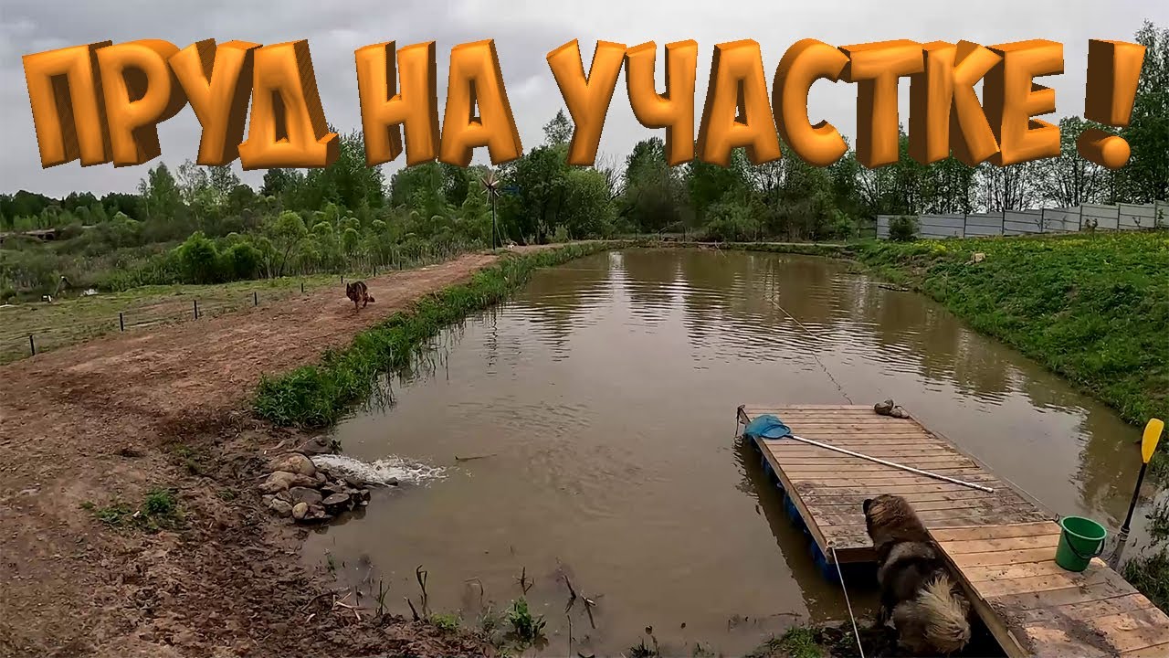 ПРУД НА УЧАСТКЕ НАЧАЛО Youtube