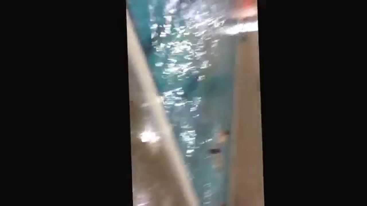 Lakes High Swim class Fails - YouTube
