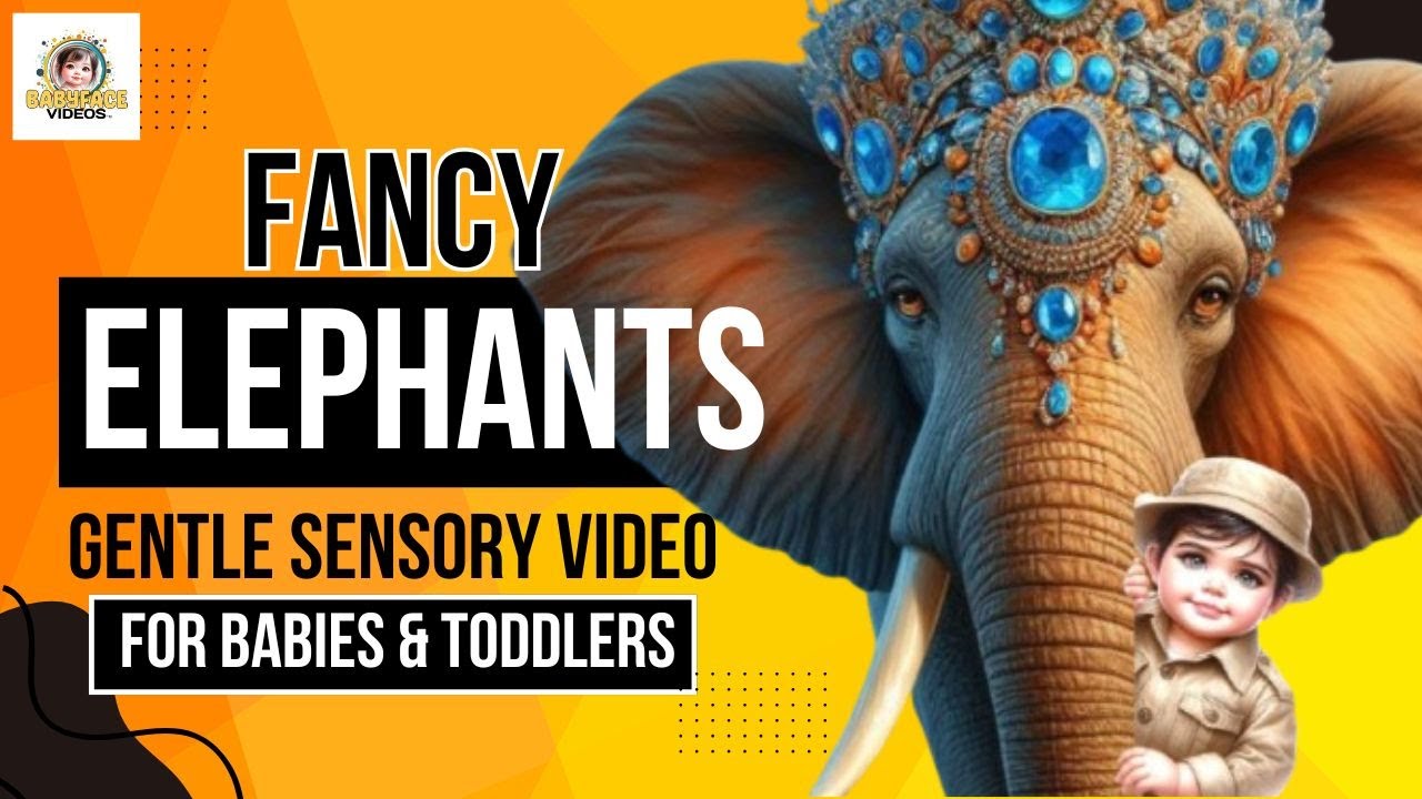 BabyFace Videos - Fancy Elephants! Gentle Sensory for Babies & Toddlers ...