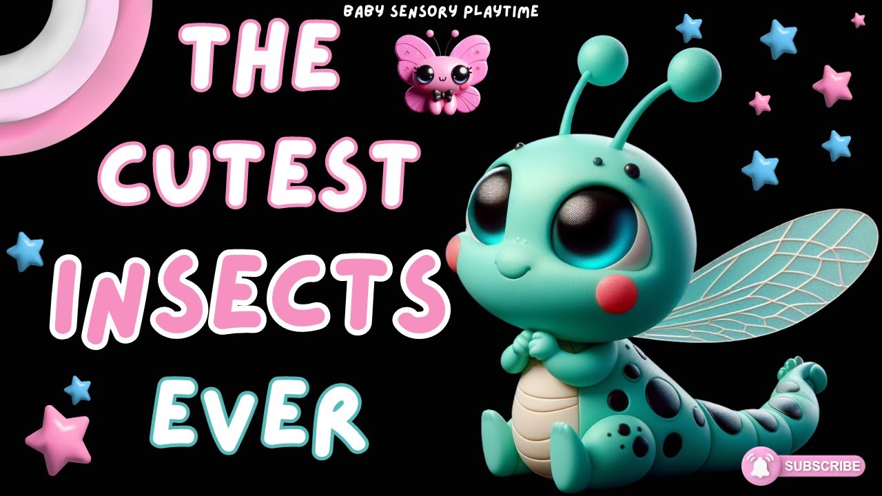 GLI INSETTI PIU CARINI DI SEMPRE - Baby Sensory Playtime - YouTube