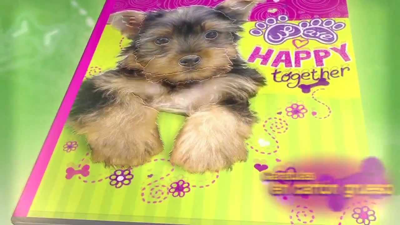 Cuadernos Dogs de Norma - YouTube