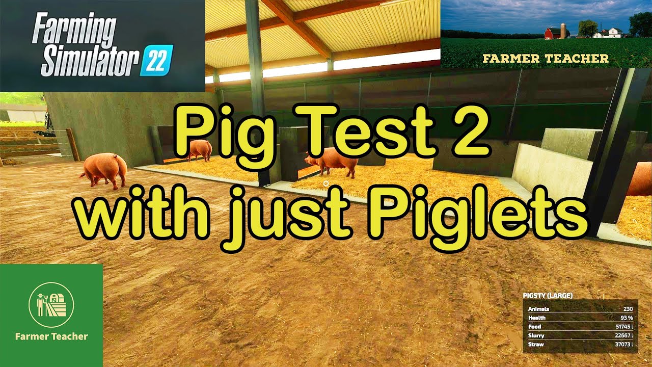 FS22 Pigs. Are They Worth It. Farming Simulator 22 Piglet Test. - YouTube