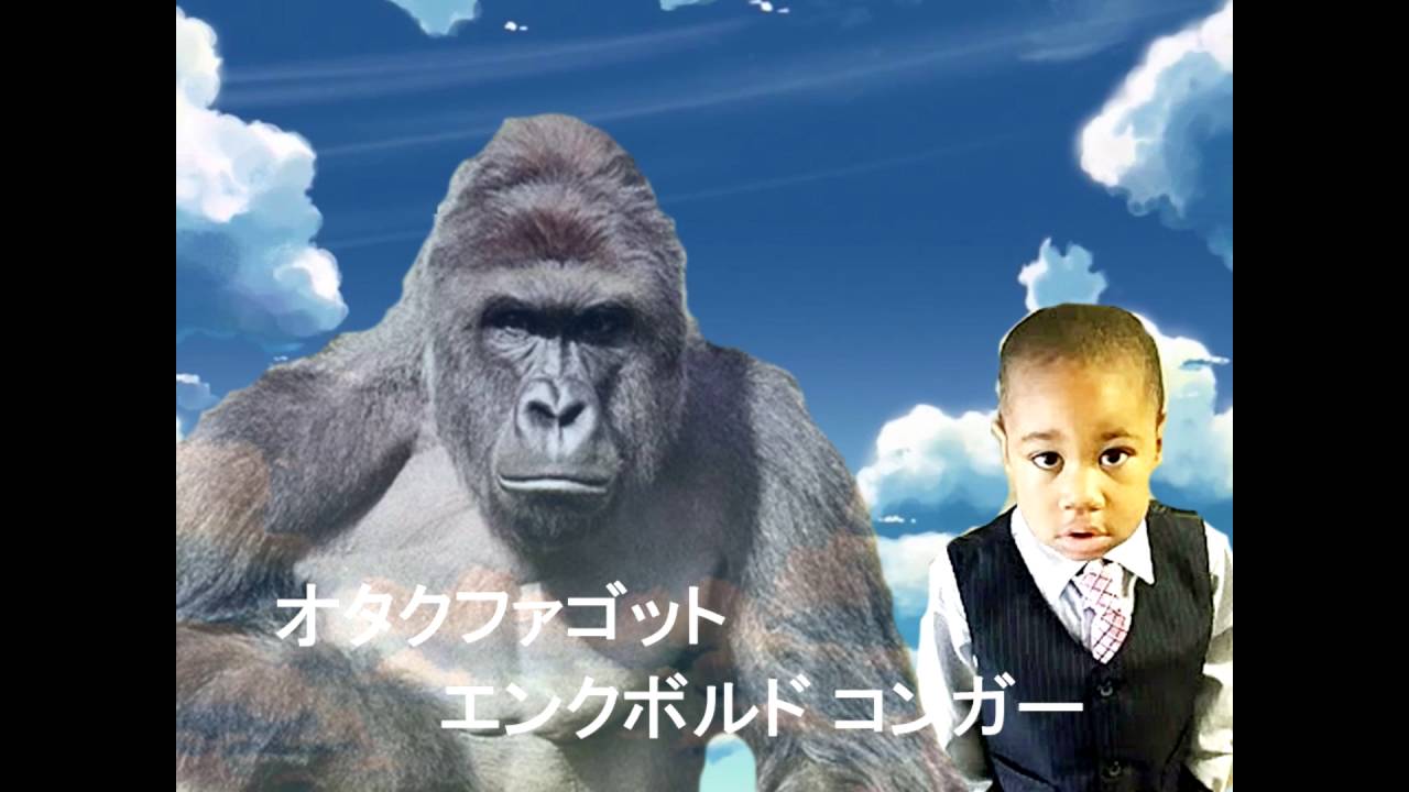 Harambe Anime Opening - YouTube