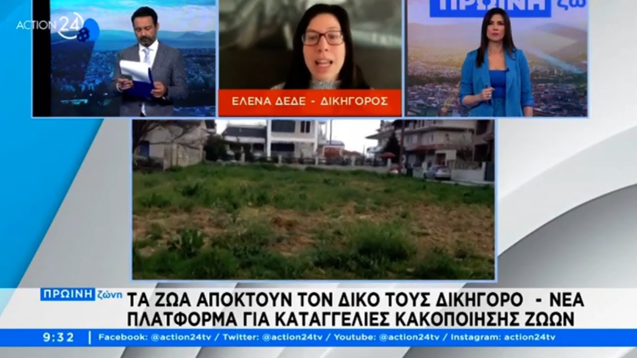 Τα ζώα αποκτούν το δικό τους δικηγόρο - Νέα πλατφόρμα για καταγγελίες ...