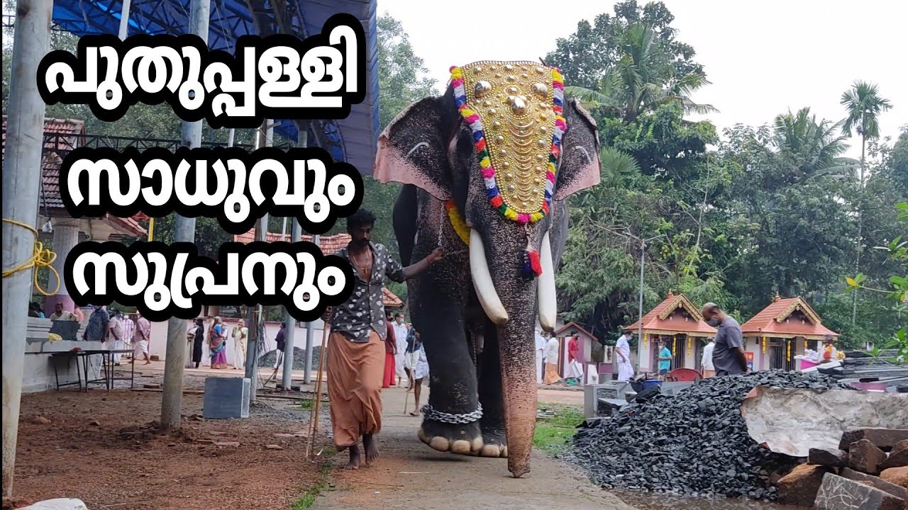 Puthuppally Sadhu പുതുപ്പള്ളി സാധുവും സുപ്രനും.. - YouTube