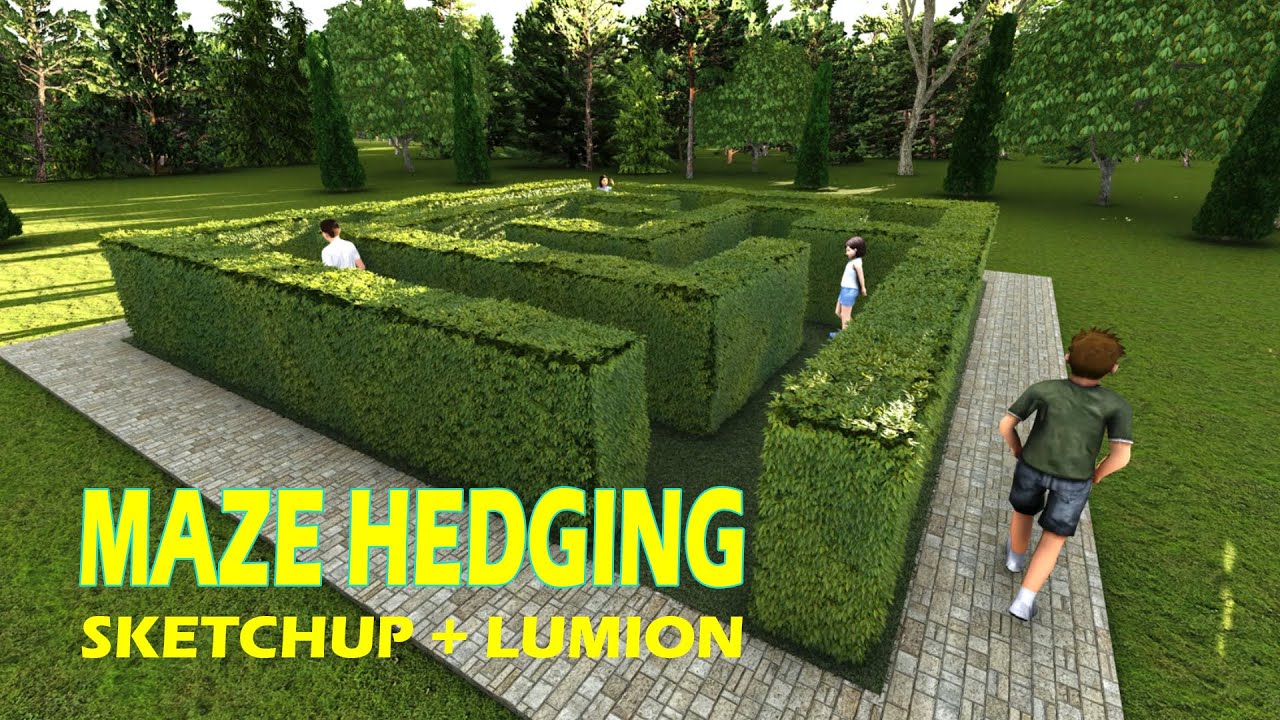 How To Do Landscape Maze Hedging | SketchUP + Lumion - YouTube