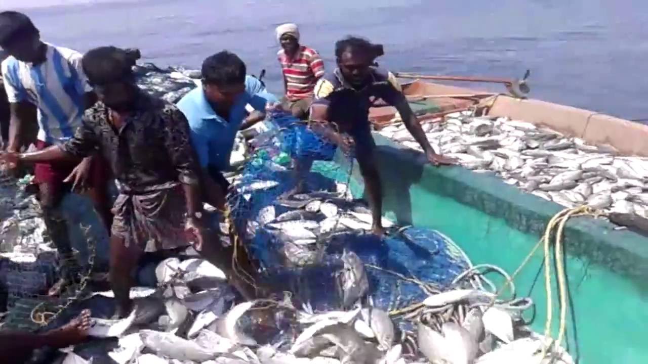 How To Catch Sea fishes ! Caught On Camera - YouTube