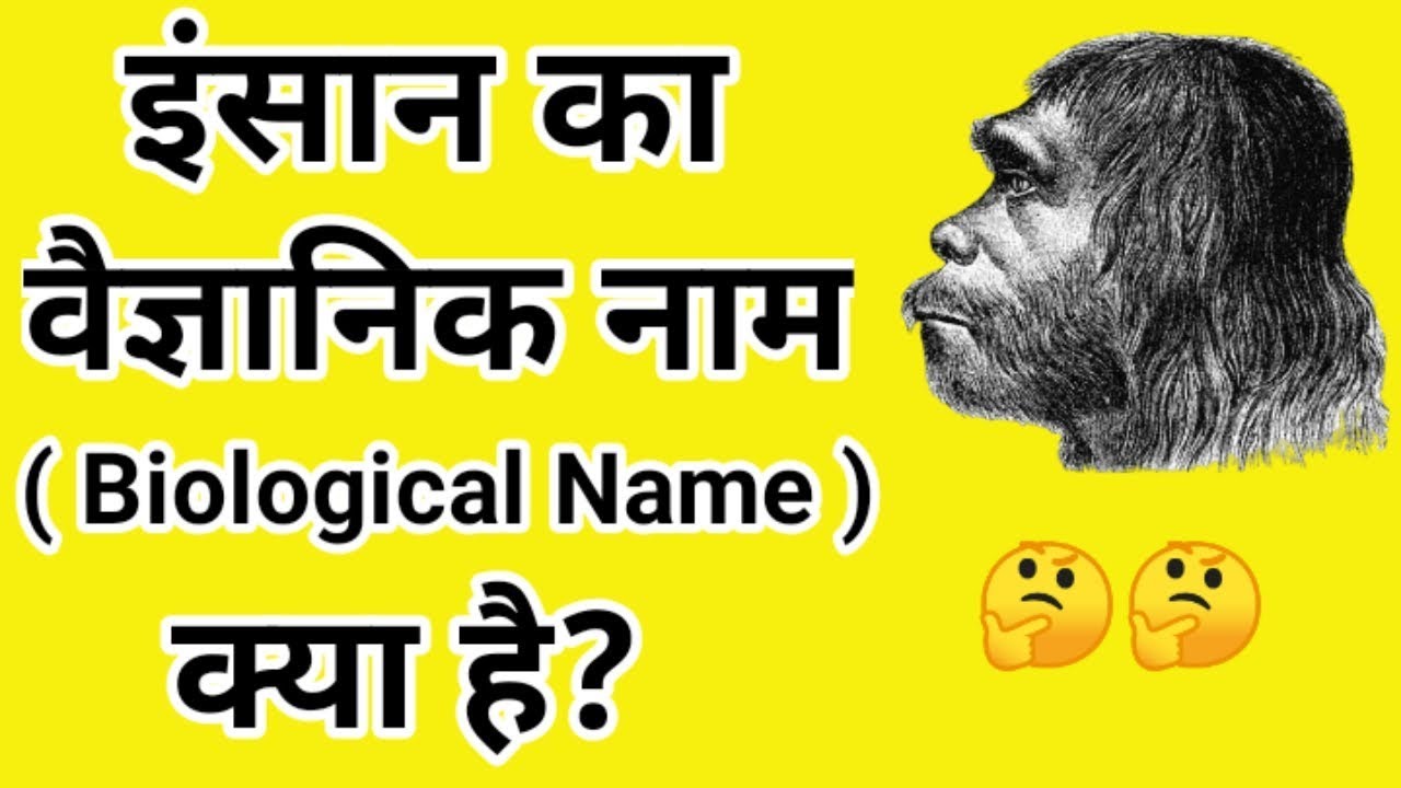 Insan Ka Biological Name Kya Hai insan-ka-biological-name-kya-hai