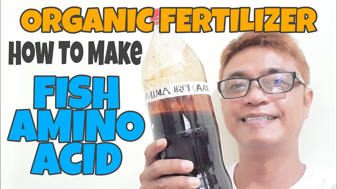 Fertilizer na Mula sa Hasang at Bituka ng isda Paano? / Fish Amino Acid ...