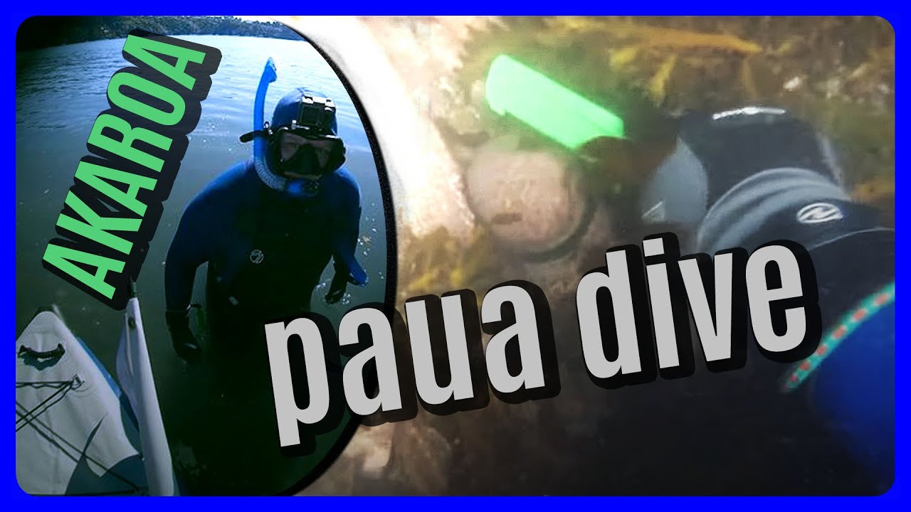 Akaroa PAUA Dive 🦞 from the kayak! - YouTube