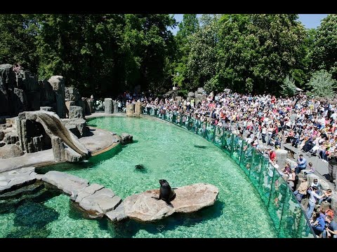 Vlog-Zoo Praha Troja - YouTube