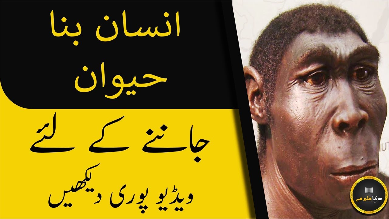 Insan Bana Hewan | Human Convert to Monkey | Dunya ilam sey - YouTube