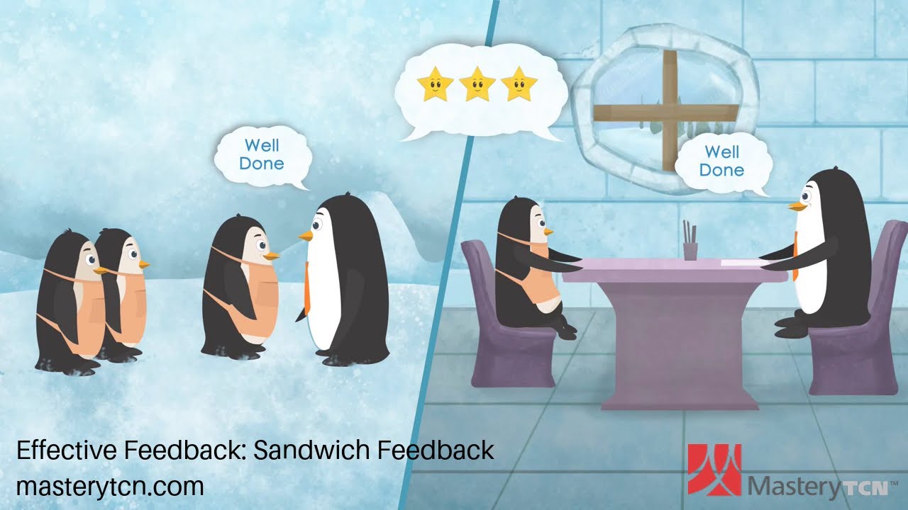 Effective Feedback: Sandwich Feedback - Training Course - YouTube
