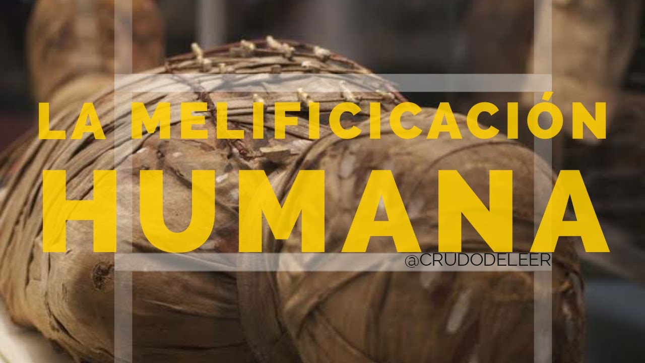 LA MELIFICACIÓN HUMANA - YouTube