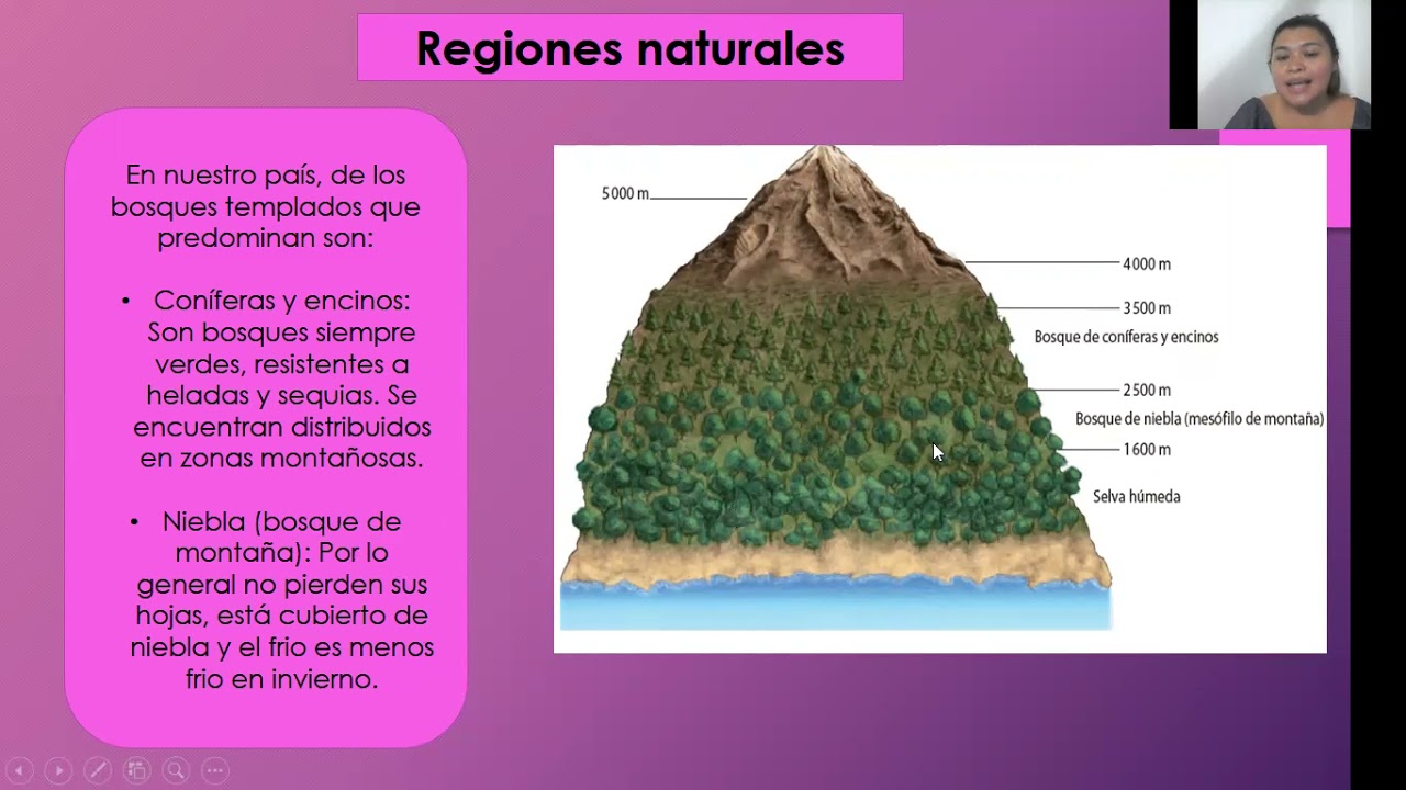 Regiones naturales 17 nov - YouTube