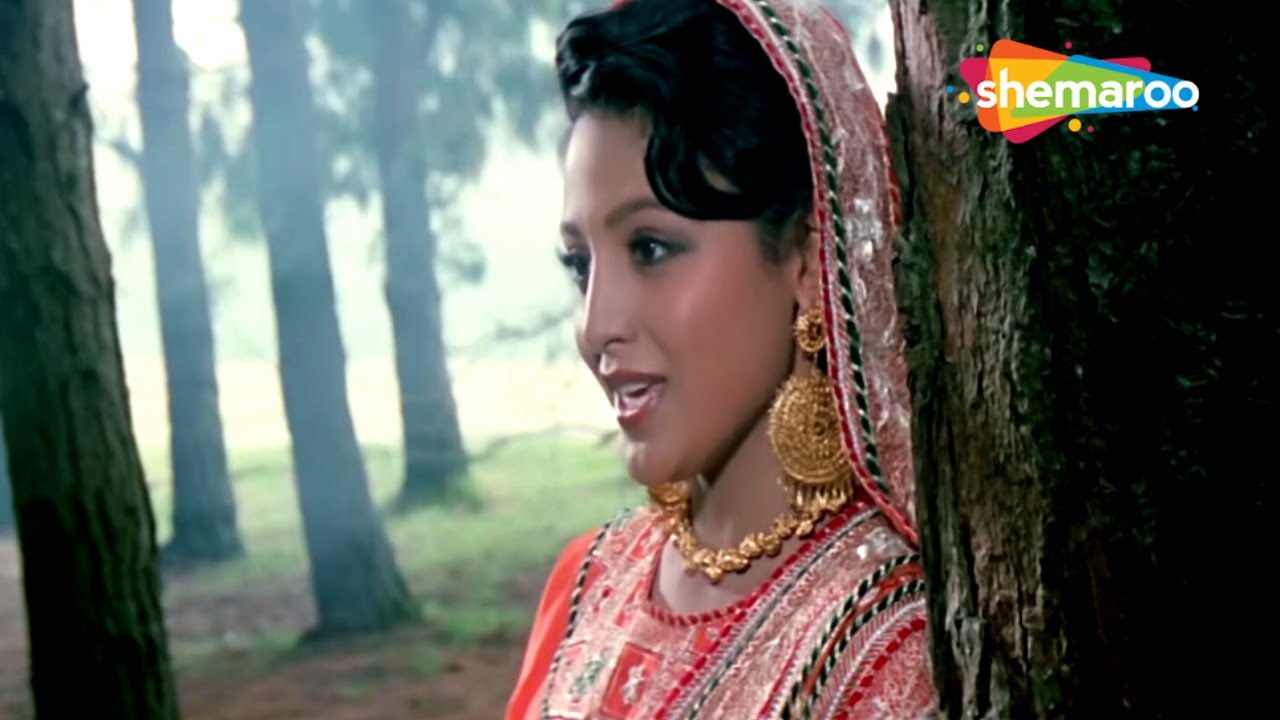 सनम को कहे हमें उनका दिल चाहिए है | Sanam Bewafa Scene | Salman Khan ...