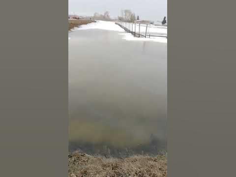 лужа в которой можно утонуть - YouTube