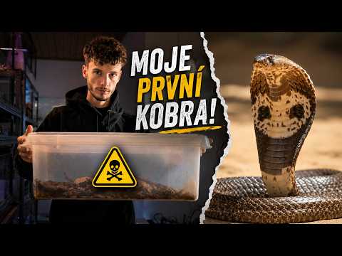 POŘÍDIL JSEM SI SVOU PRVNÍ KOBRU!🐍💀