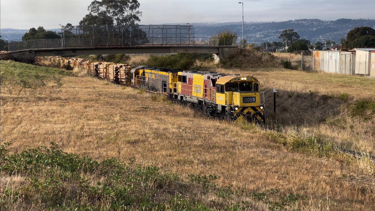TasRail 2051 TR14 #34 Log train powering through Mayfield/Rocherlea ...