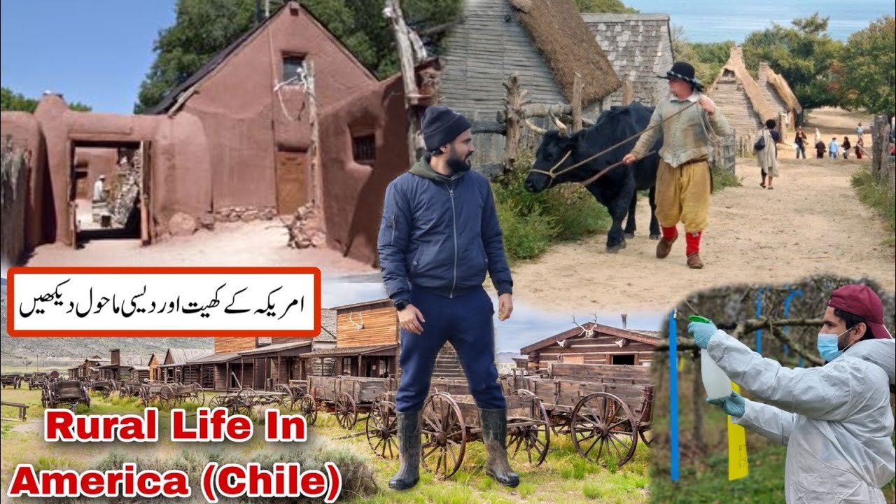 Rural Life in America (Chile) | A visit to Rural Fields of Chile ...