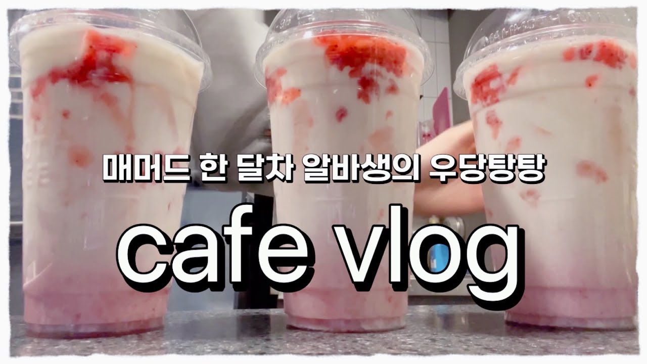 Cafe Vlog 맘모스 매머드 카페 알바 브이로그 카페브이로그 알바생브이로그 Cafevlog 음료제조 Youtube