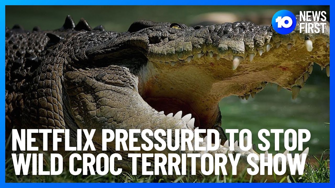Pressure Grows For Wild Croc Territory To Be Cancelled | 10 News First ...