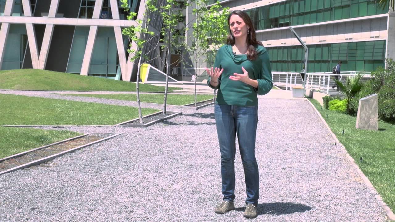 María Ines Campo Nexocolegios - YouTube