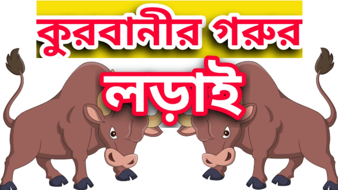 কুরবানির গরুর লড়াই | ইসলামিক কার্টুন | Cow Fighting | Cow Fight ...