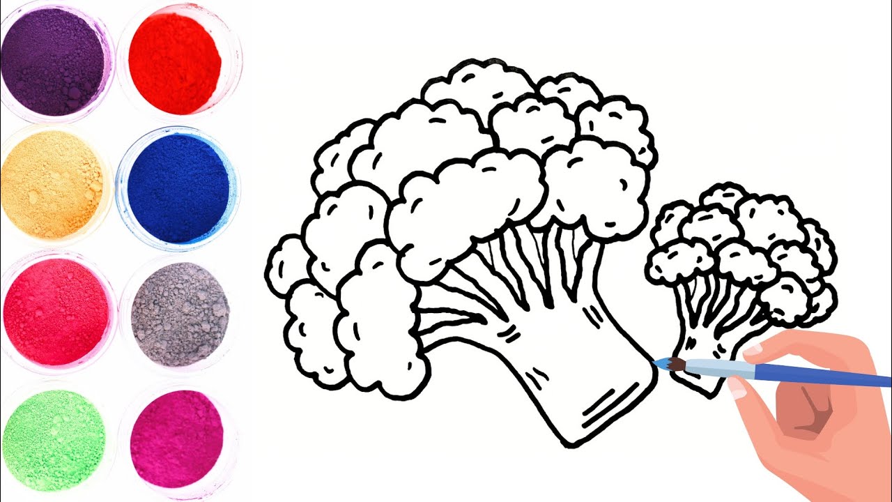 How to Draw and Colour Broccoli for kids and Toddlers #broccoli - YouTube