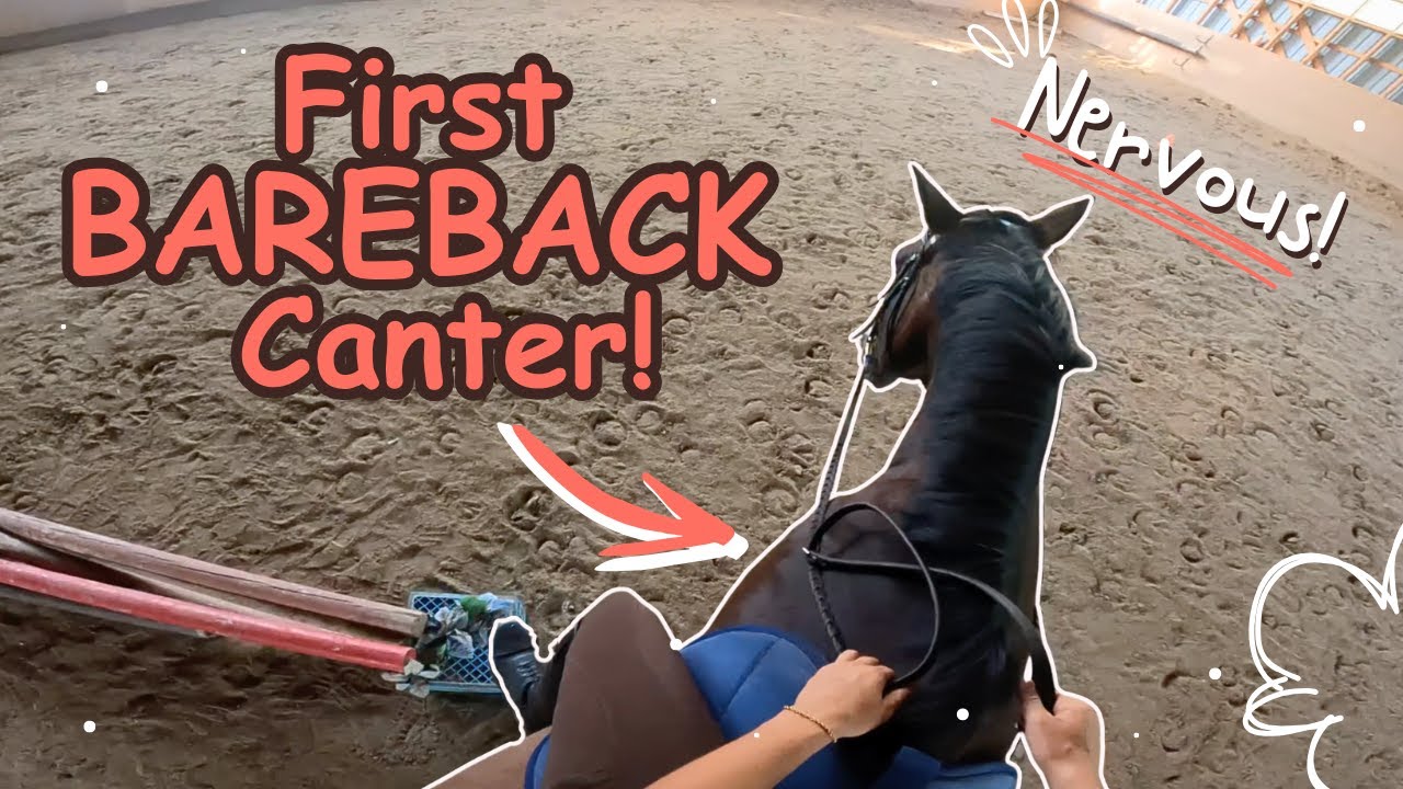 We canter BAREBACK for the FIRST time! - YouTube