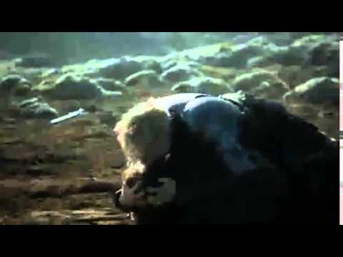 The Hound vs Brienne (the hound's death) - YouTube