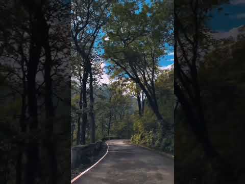 Yâr Sen Beni Bir Sözünen Öldürdün - Aşık Zeki Erdali