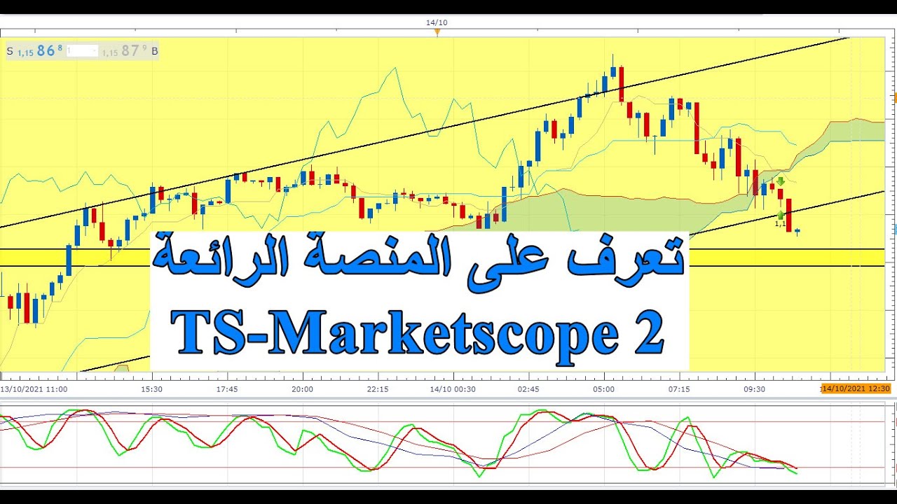 TS-Marketscope 2 تعرف على المنصة الرائعة - YouTube