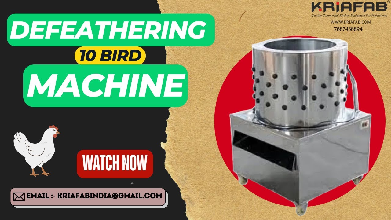 🐔 𝐃𝐞𝐟𝐞𝐚𝐭𝐡𝐞𝐫𝐢𝐧𝐠 𝐌𝐚𝐜𝐡𝐢𝐧𝐞 - 𝟏𝟎 𝐁𝐢𝐫𝐝 🔥 🔥 || 𝑯𝒊𝒈𝒉-𝑬𝒇𝒇𝒊𝒄𝒊𝒆𝒏𝒄𝒚 𝑷𝒐𝒖𝒍𝒕𝒓𝒚 ...