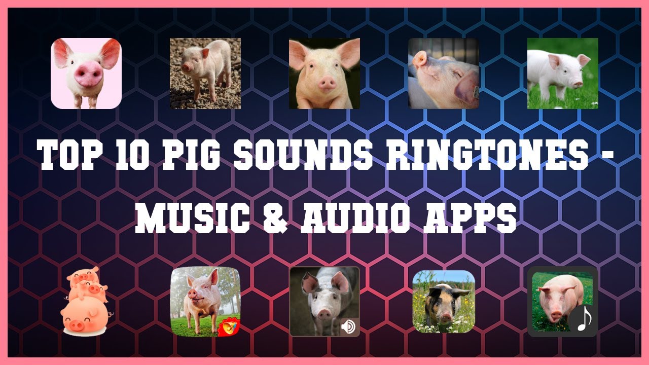 Top 10 Pig Sounds Ringtones Android Apps - YouTube