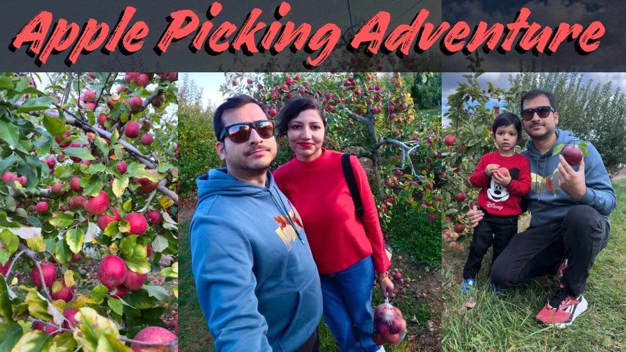 USA Re Apple Picking| Pick Your Own Apples 🍎 | Authentic Farm ...