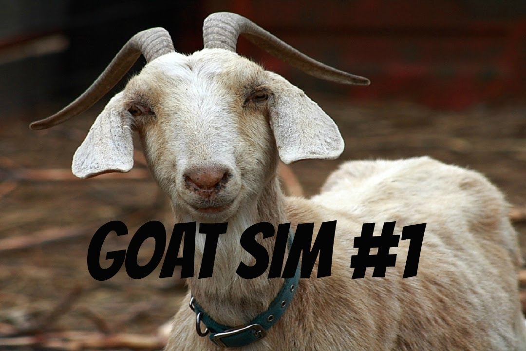 Goat Sim #1 - YouTube