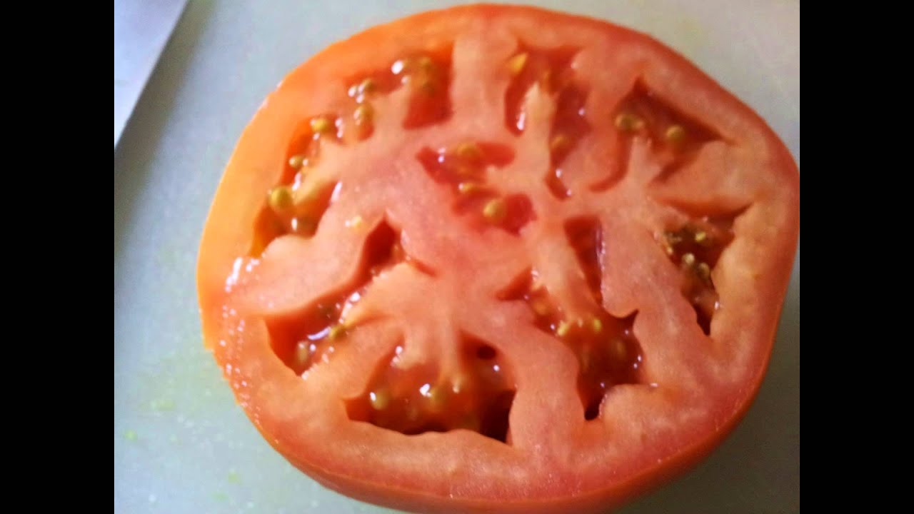 Cómo preparar refrito Video receta - YouTube