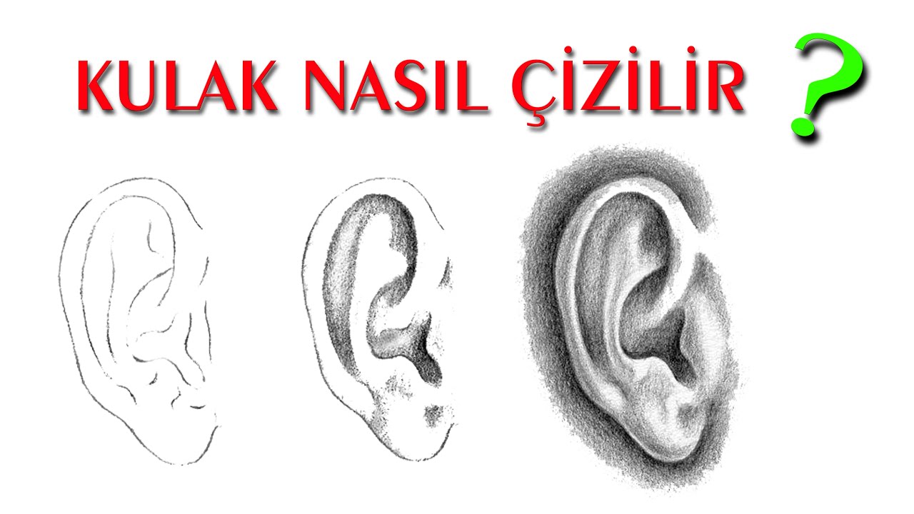 KULAK NASIL ÇİZİLİR - Karakalem Portre ( Resim Dersi ) - YouTube