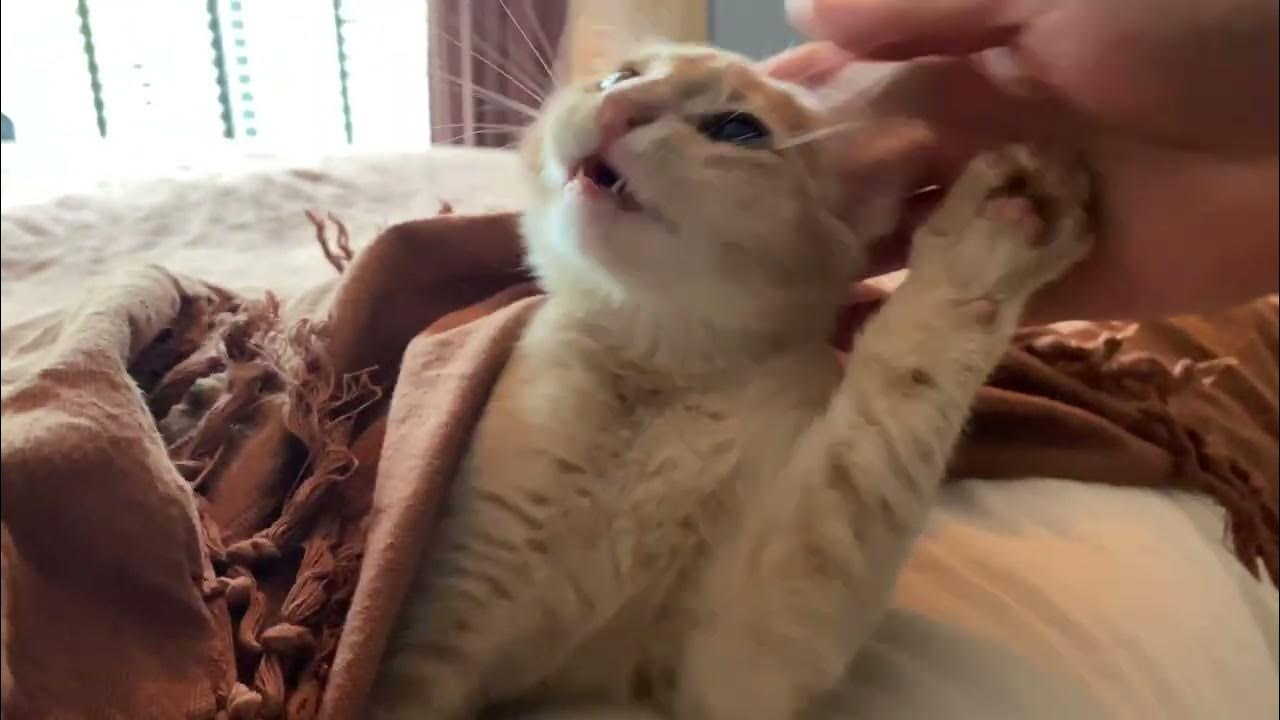 How Dare You Touch Me Retreat YouTube how-dare-you-touch-me-retreat-youtube