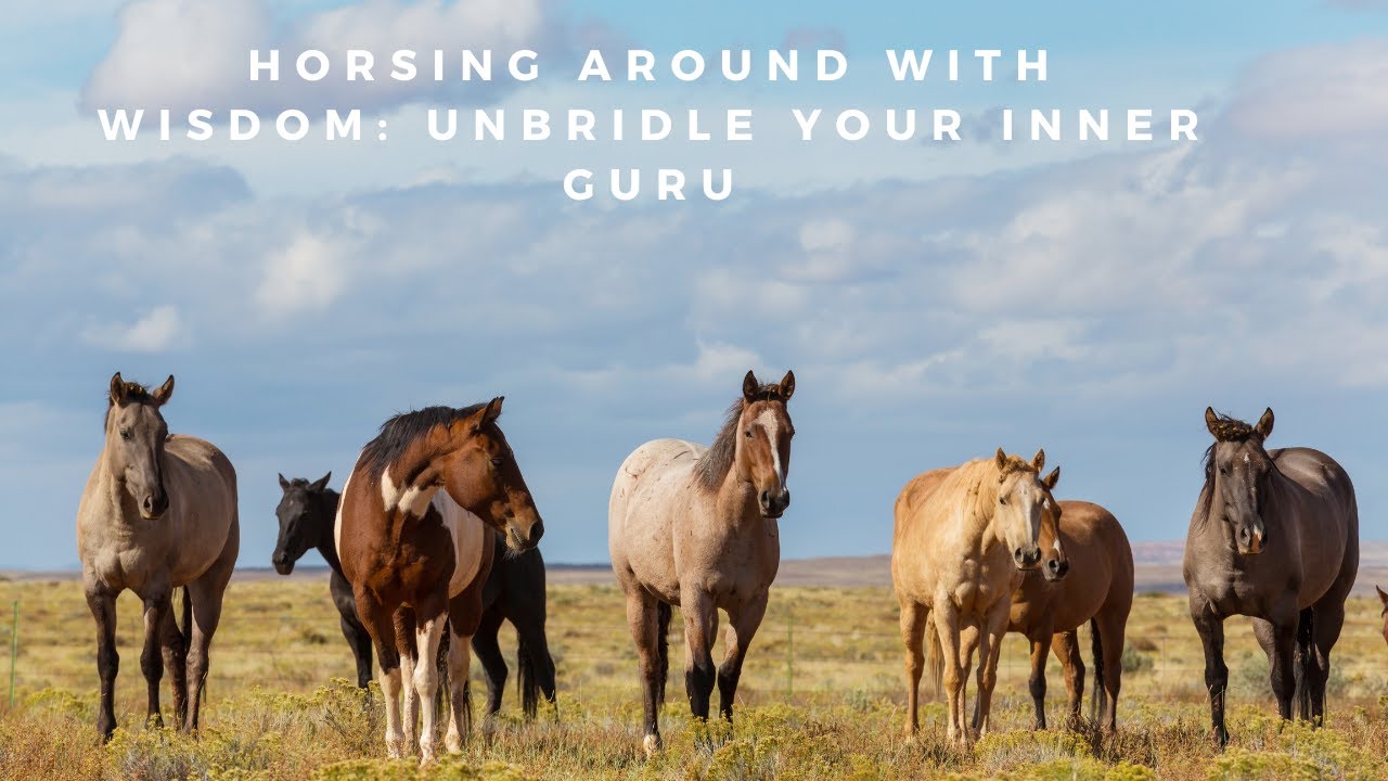 Horsing Around with Wisdom: Unbridle Your Inner Guru - YouTube