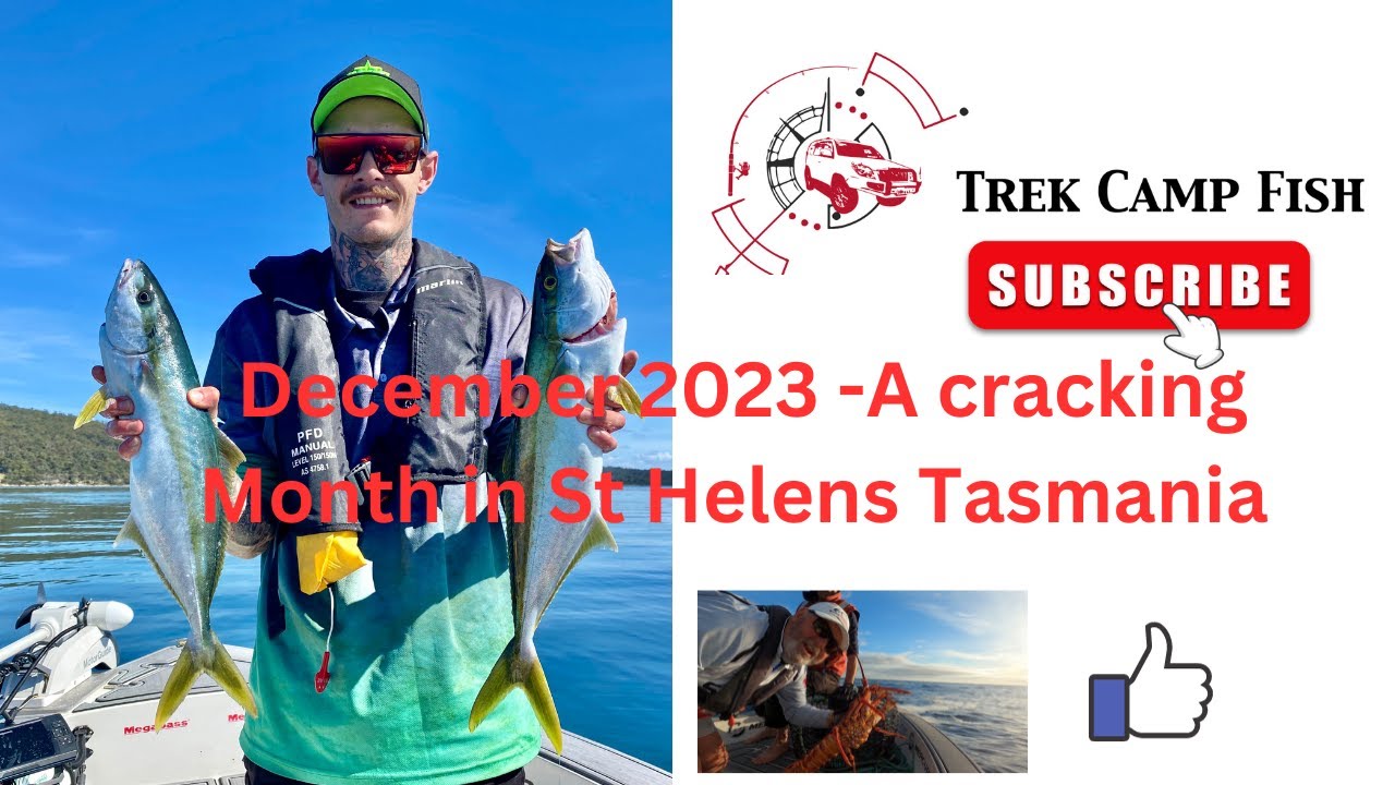 Crazy Crayfishing Crazy Kingfish and many firsts for our Crew - YouTube