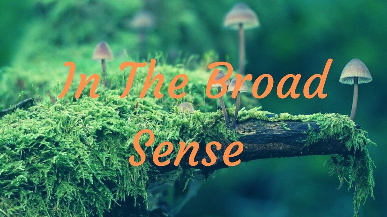 "In The Broad Sense" By KillaHawke1 - YouTube