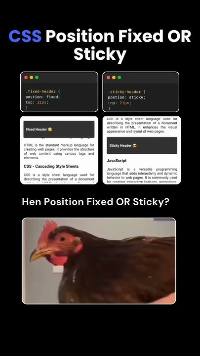 Css Position Fixed Or Sticky 😍 Best Example Cssproperty Cssposition Csstutorial Coder Viral 0202