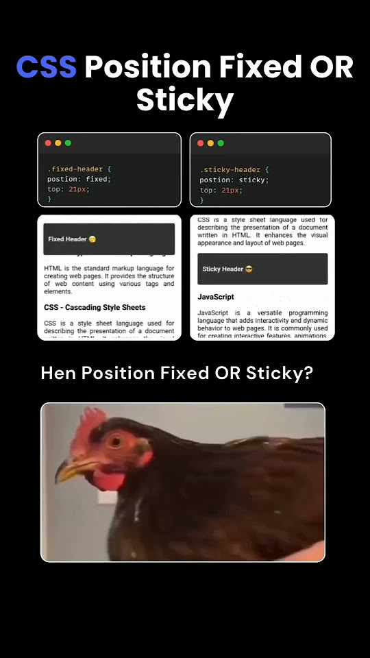 Css Position Fixed Or Sticky 😍 Best Example Cssproperty Cssposition Csstutorial Coder Viral